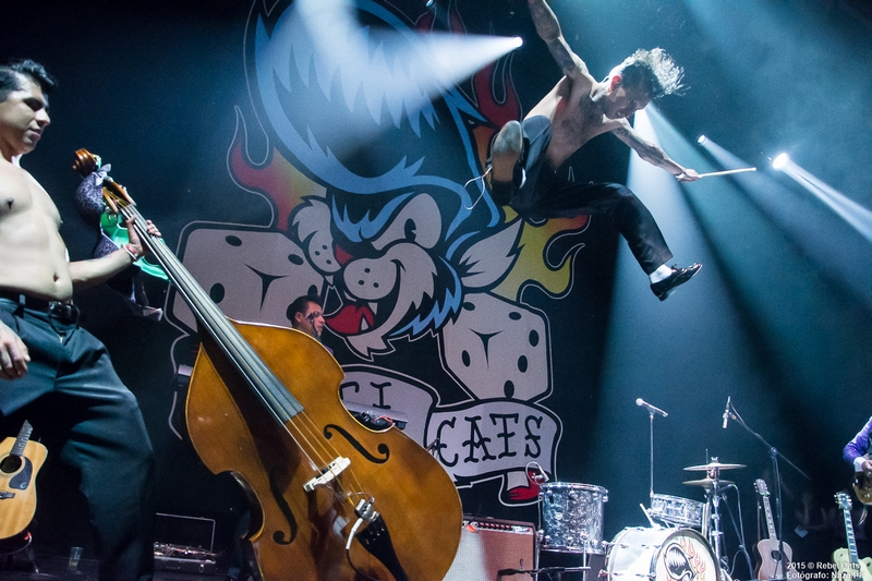 Rebel Cats celebrando 10 Años en el Plaza Condesa: Concierto – Naza PF